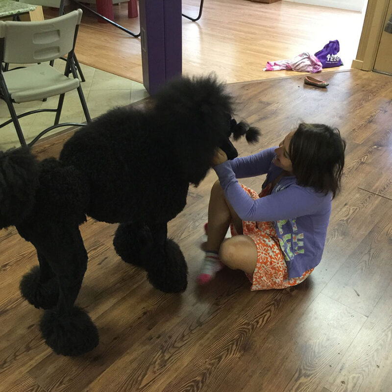 Therapy Dogs - Wool 'n Wind
